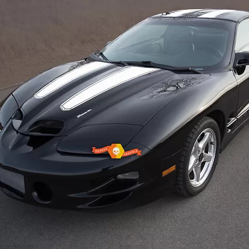 Firebird Stripe Trans Am Hood Bird Decal Graphic Pontiac Decals