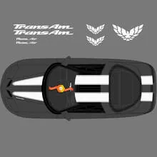 New Firebird Pontiac Stripe Trans Am Hood Roof Tailgate Bird Decal ...